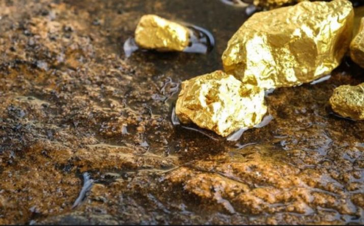 Gold mines found in 2 districts of Odisha: Steel and Mines Minister