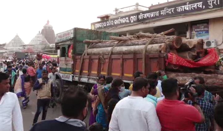 First lot of Timbers for Puri Chariots' Construction reaches Puri in Odisha