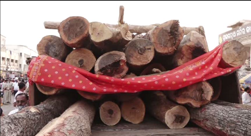 First lot of Timbers for Puri Chariots' Construction reaches Puri in Odisha