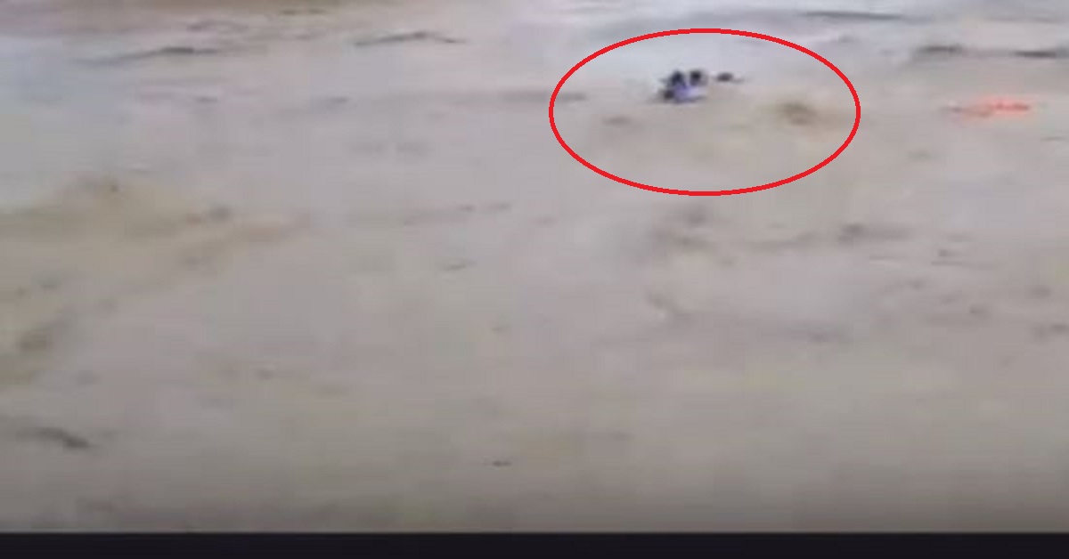 On Cam! SDRf Jawan Saves Kanwariya from Drowning in Ganga