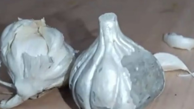 Viral Video: Garlic made of cement found in Maharashtra