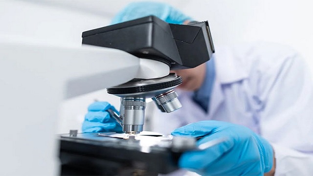 Herpes virus likely to have connection with Alzheimer's: Study