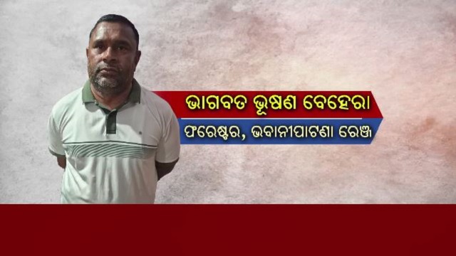 Kalahandi: Forester under Vigilance scanner, DA search launched