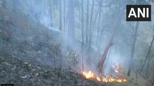 Forest Fire Engulfs Mental Hospital Area in Shimla