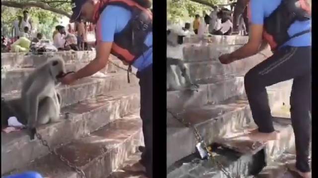Uttarakhand cop offers water to thirsty monkey amid scorching heat