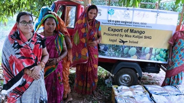 Odisha, Angul SHG Exports 7.5 Quintals of Mangoes to London