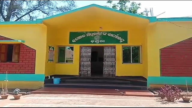 Man elephant conflict leaves youth injured in Keonjhar