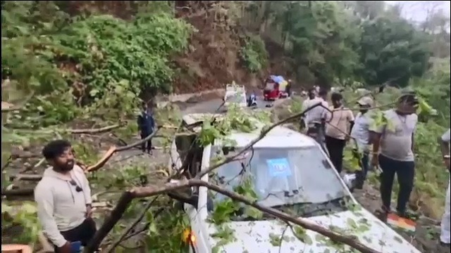 Chitrakonda MLA Mangu Khilla narrowly escapes as big tree falls on his car
