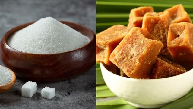 Jaggery vs Sugar: Which Spikes Blood Sugar Faster? know here